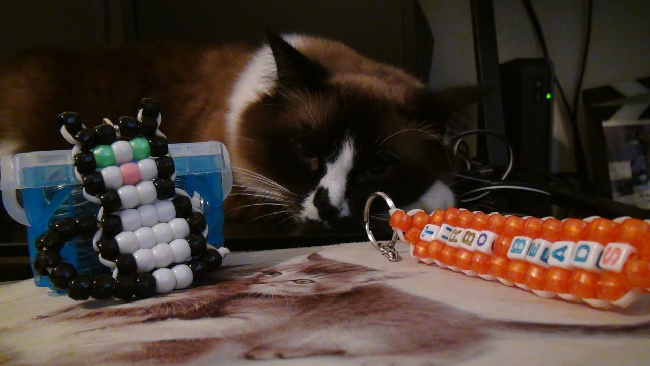 TurboBeads: Kitty Cat Tutorial