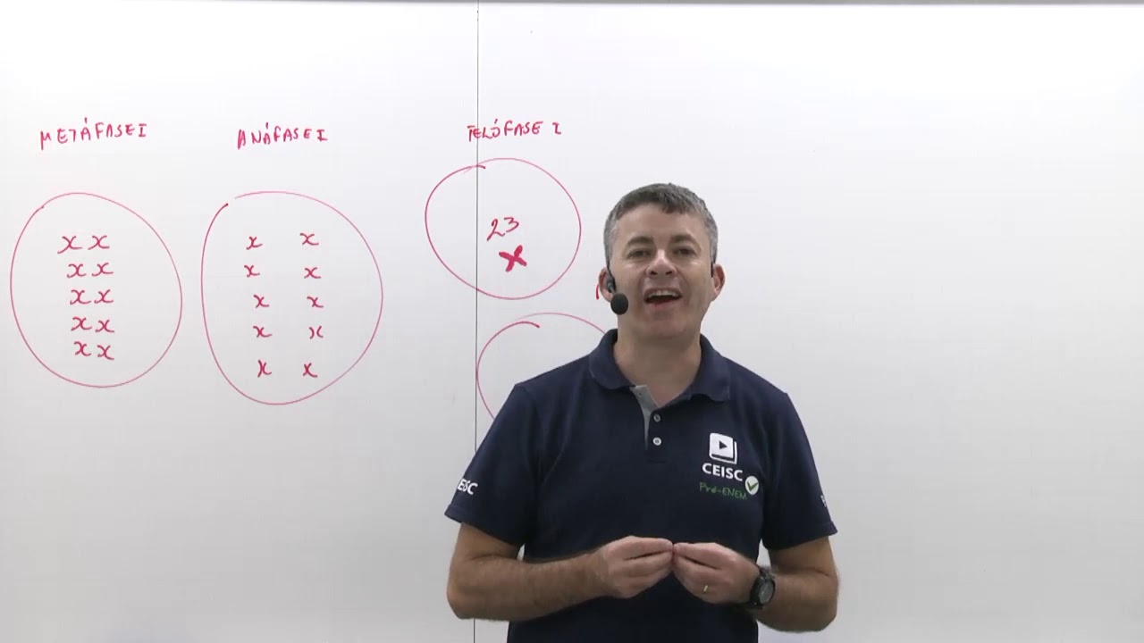 Aula gratuita de Biologia | Divisão celular por Meiose