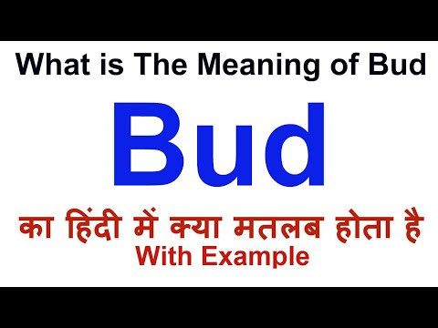 Bud Meaning in Hindi | Bud Definition | Bud Ka Matlab Kya Hota Hai | Bud in Hindi