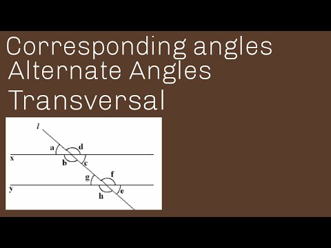 Corresponding Angle,Alternate Angle, Co-interior Angles, Transversal. Urdu/Hindi. Sir Nadeem Munawar