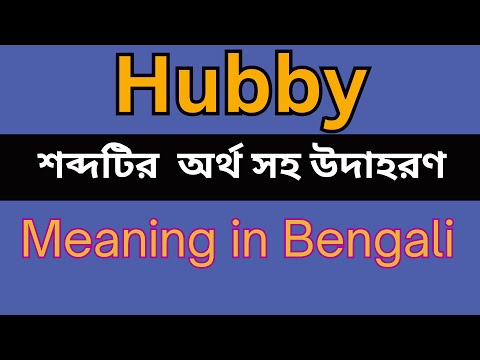 Hubby Meaning In Bengali /Hubby mane ki