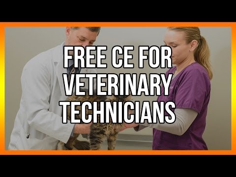 Free CE for veterinary technicians – Veterinary Continuing Education