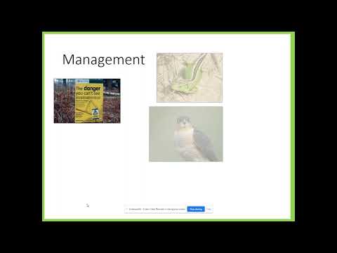 Deciduous Woodland Threats and New Forest Case Study Geography Y10&11