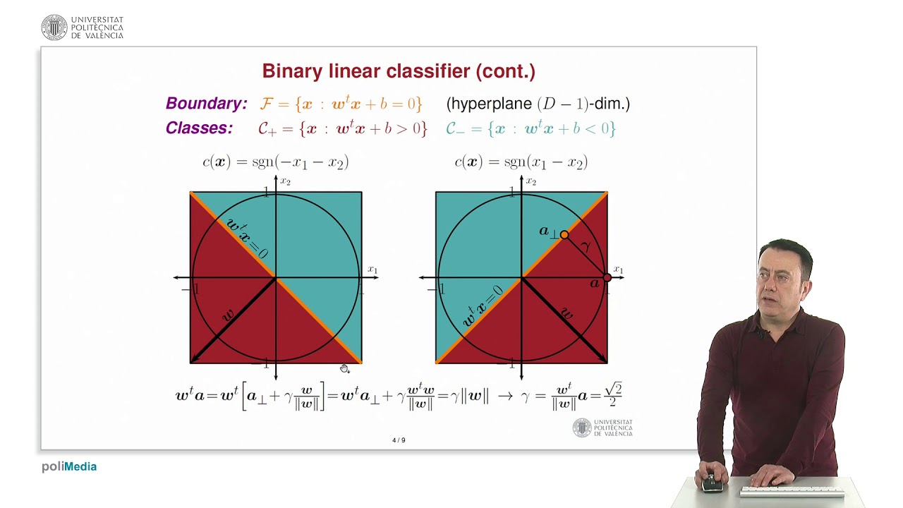 Perceptron  algorithm for binary classification |  | UPV