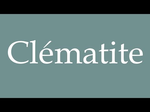 How to Pronounce ''Clématite'' (Clematis) Correctly in French