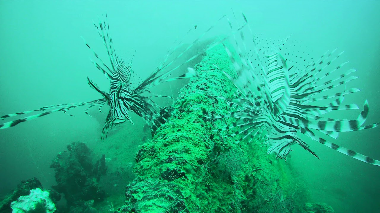 Subic Bay Wreck Diving Sites | Maps, History and Dive Information