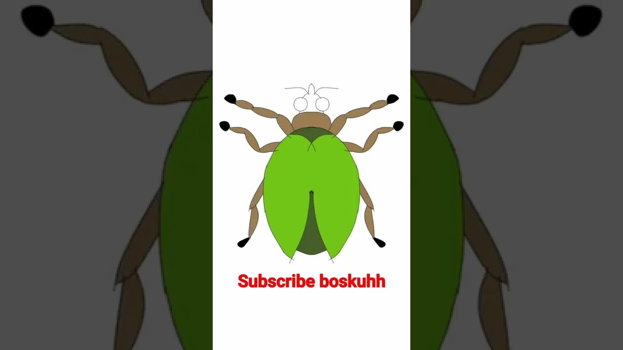 make insect vector 13 seconds #shorts  #animals #vector  #art  #insects