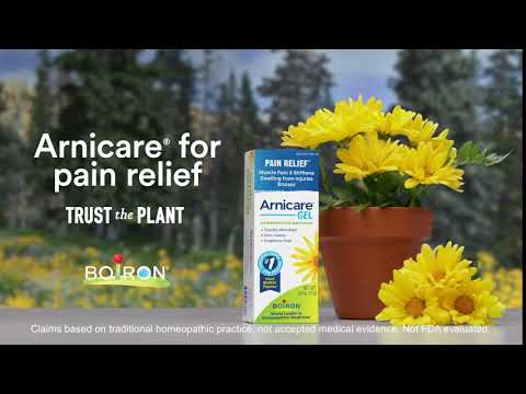 Arnica and Venus Plant - Arnica Montana for Pain Relief