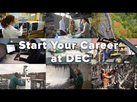 Start Your Career at DEC