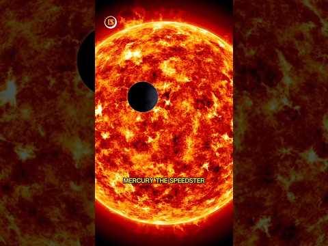 how long planets take to orbit the sun