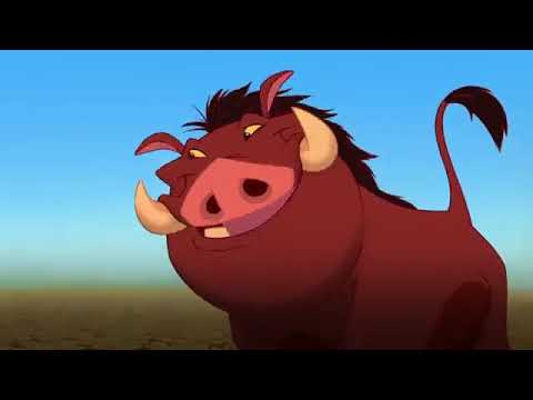 Hakuna Mutata (It's Means no Worry For the rest Of Your Day)