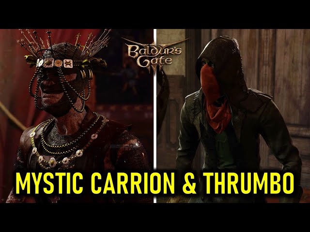 Baldur's Gate 3 Mystic Carrion's Ancient Lair location guide