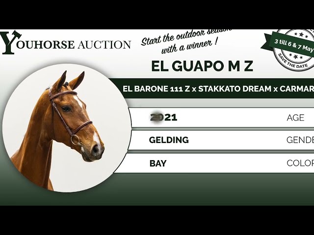 Youhorse.auction | El Guapo M Z