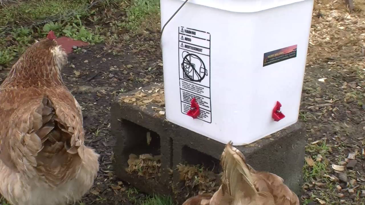 Sideways Sipper Horizontal Poultry Drinker Nipple www.MuddyHillFarm.com