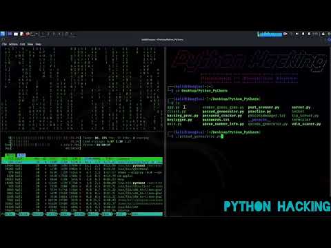 Python Hacking
