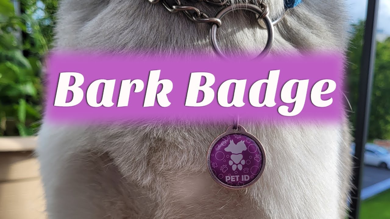 Bark Badge QR code dog tag - everything you need to know in 2 minutes