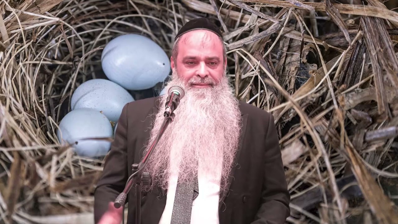 הרב רפאל זר מצוות שילוח הקן הערוץ של הרב רפאל זר