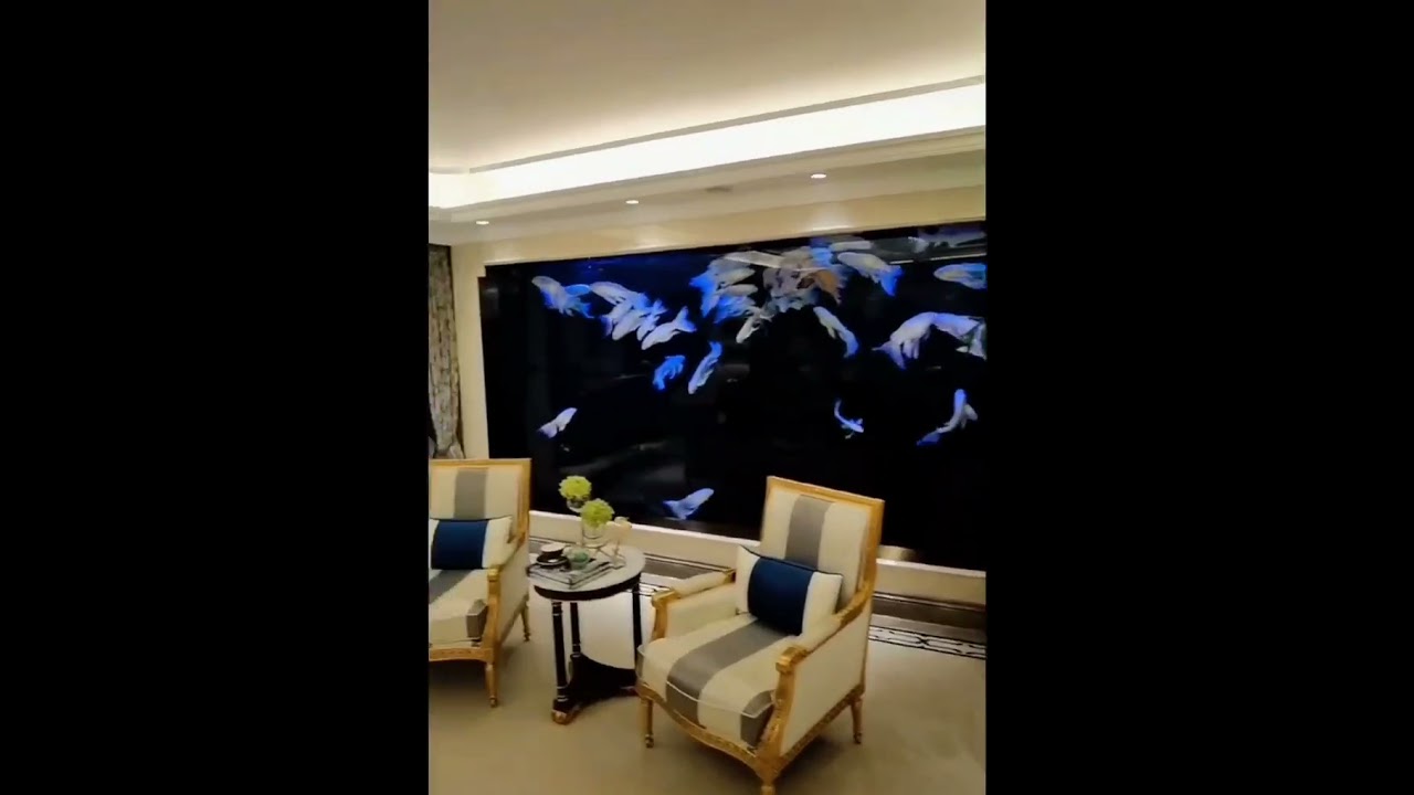 what an aquarium wall