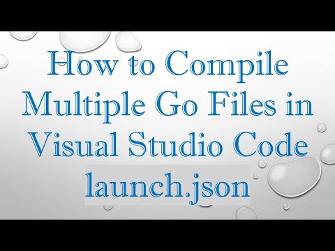 How to Compile Multiple Go Files in Visual Studio Code launch.json