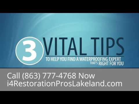 Restoration Companies Brandon FL