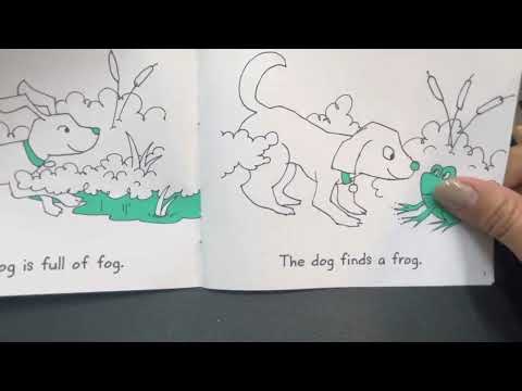 Bob Books Rhyming Words Book 7- The dog in the fog
