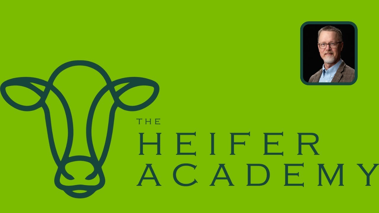 Optimizing Heifer Growth and Reproduction