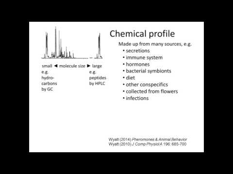 Pheromones & animal behaviour: proteins and peptides, signals and signatures by Tristram Wyatt