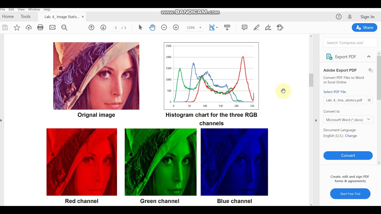Lab. 4 Image Statistics