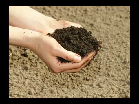 What is Loam Soil