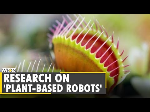 Talking to plants through a mobile app | Robo-Plants | Technology | Latest English News