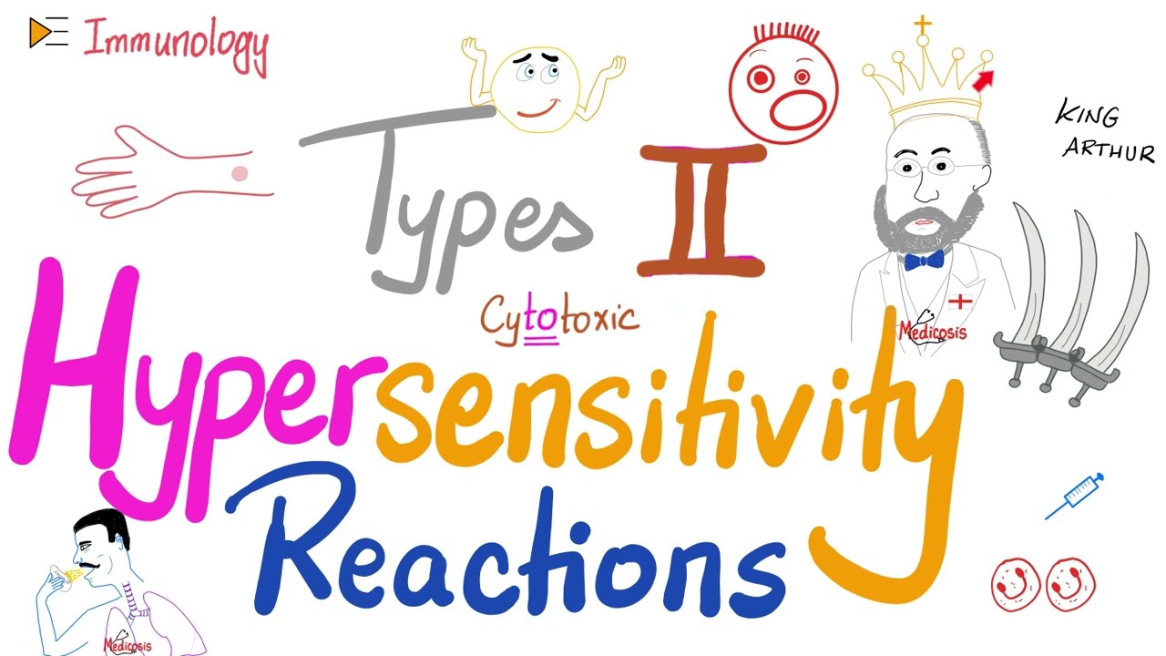 Understanding Type II Hypersensitivity Reactions in Immunology | Galaxy.ai