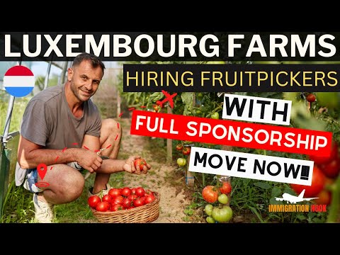 LUXEMBOURG Fruits Picking Jobs with Free Visa Sponsorships Direct Recruiter | NOW HIRING!