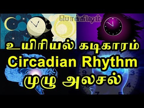 Clock theory for human organs | Circadian Rhythm | உயிரியல் கடிகாரம் | TPEXC_5