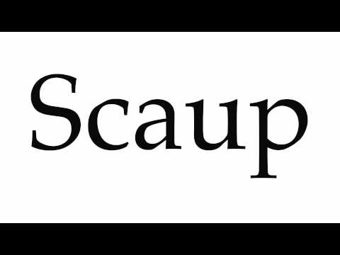 How to Pronounce Scaup