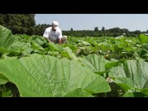 Farmer Profiles: Russ Vollmer