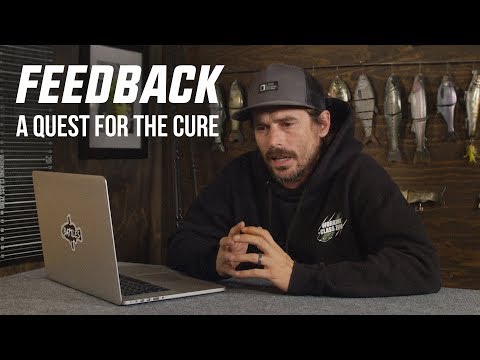 Feedback: A Quest for the Cure