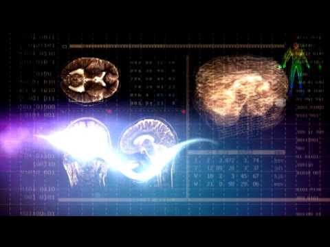 Seven Universal Principles and the Seventh Sense by Nader Butto