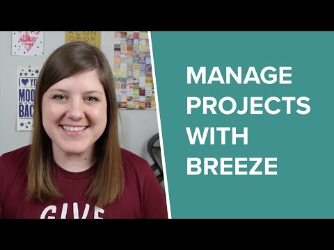 Basecamp Project Management Alternative: Breeze.pm