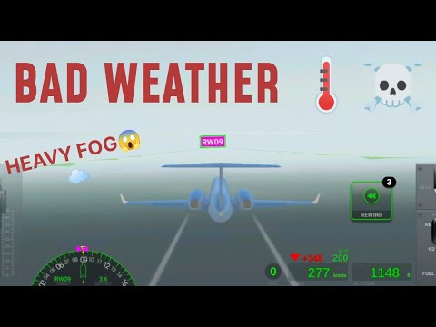 Airline manager 4