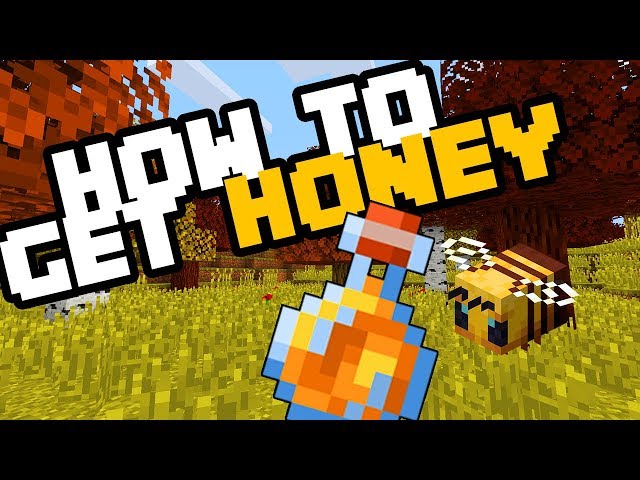 How to Get Honey in Minecraft: All you need to know!