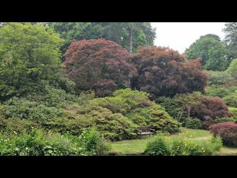 Exbury Garden