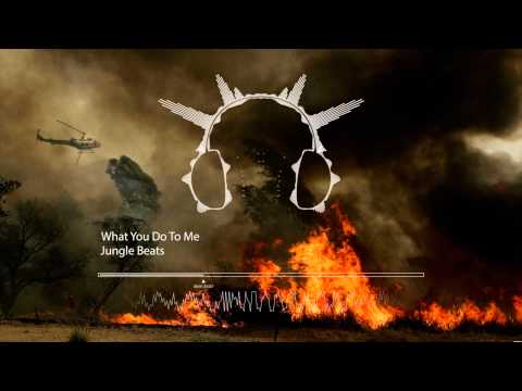 Jungle Beats - What You Do To Me