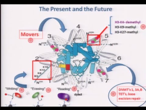 Cell signaling and clues to the origin of the cancer epigenome