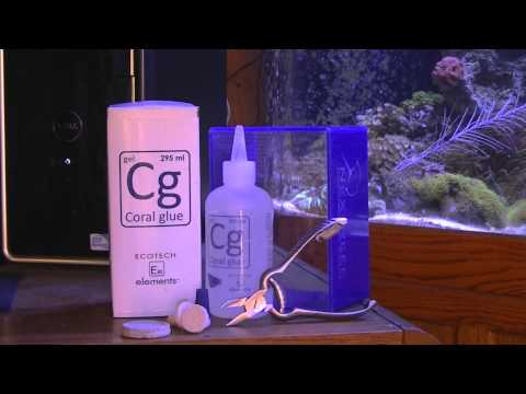 ecotech coral glue