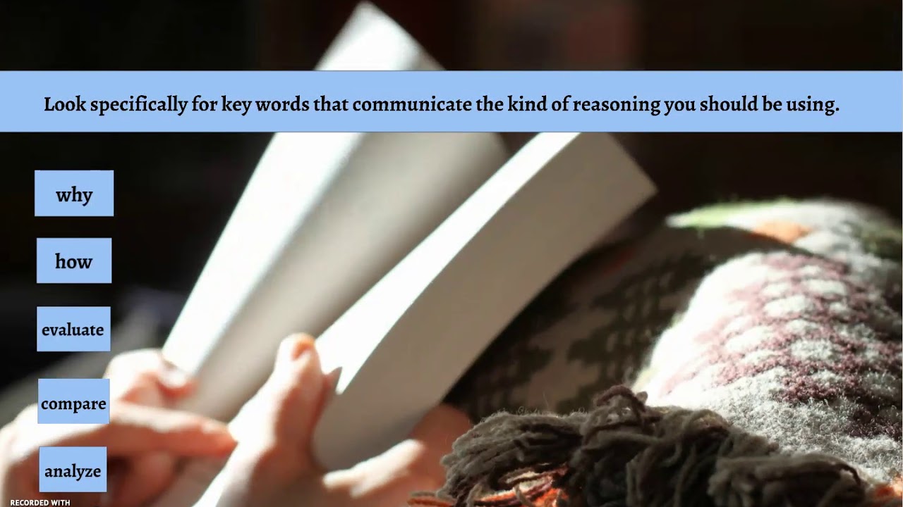 Understanding Assignment Guidelines