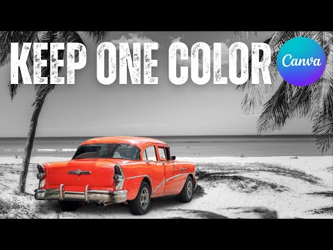 Keep One Color in Black & White Image - Canva Tutorial