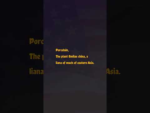 Porcelain Pronunciation & Meaning American English #english #pronunciation #americanaccent.mp4
