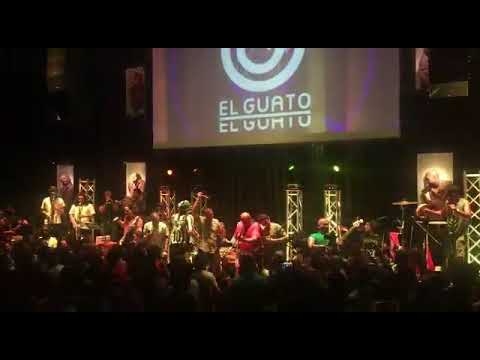 El Guato - TARKUS TLAXIACO ROCK