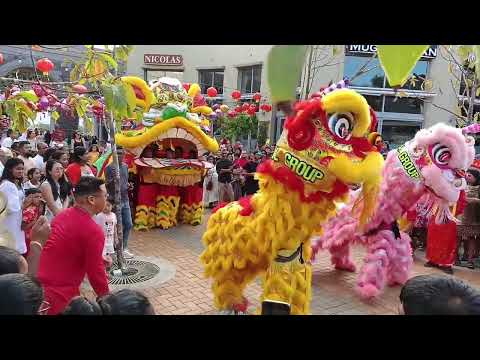 Chinese New year Celebration ๐ ๐ 2025 in Mauritius country at Bagatel mall ๐๐#mauritius #celebrity
