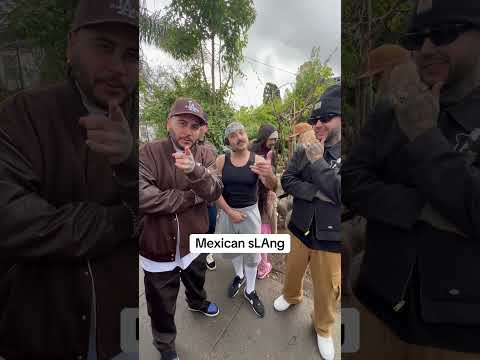 TransLAting Mexican sLAng with Creeper 🤣 sLAng dropping 2/7/25 #mexican #amercian #slang #coyote